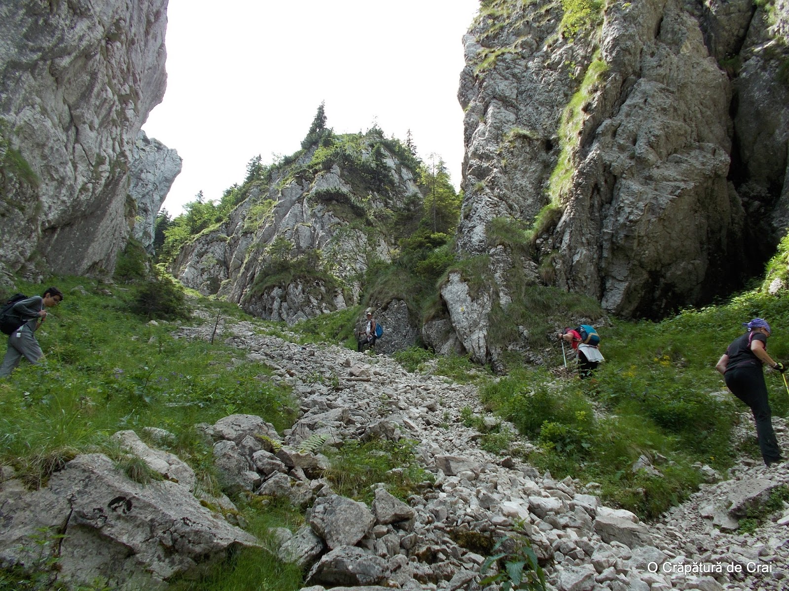 Poveştile mele: Recomandarea lunii - Piatra Craiului: Un fleac, o ...