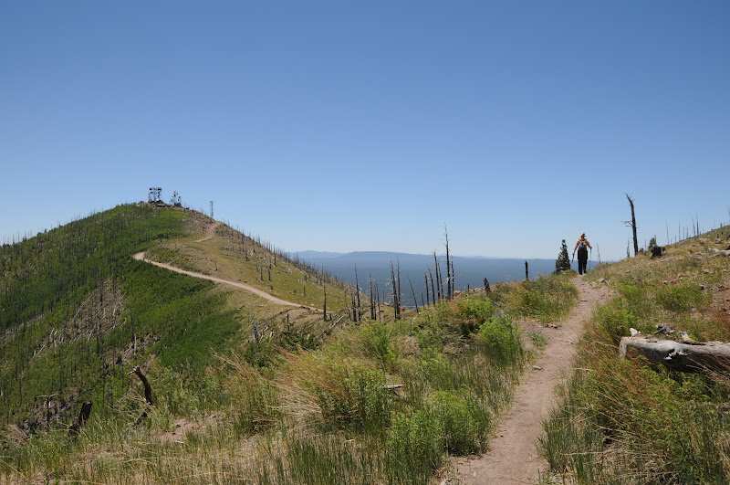 Arizona Hiking: The back way up Mount Elden