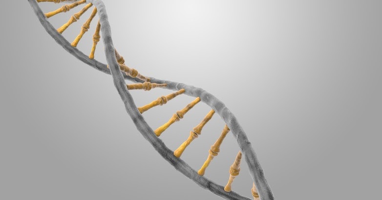 Delecje ramienia długiego chromosomu 6 (del6q)