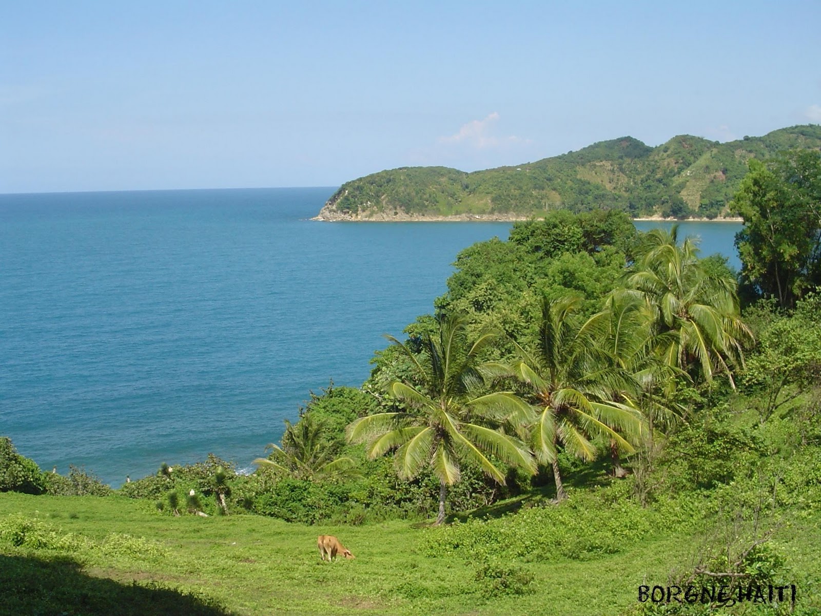 Villes, Patrimoines et Lieux Historiques du Nord d'Haïti: Borgne