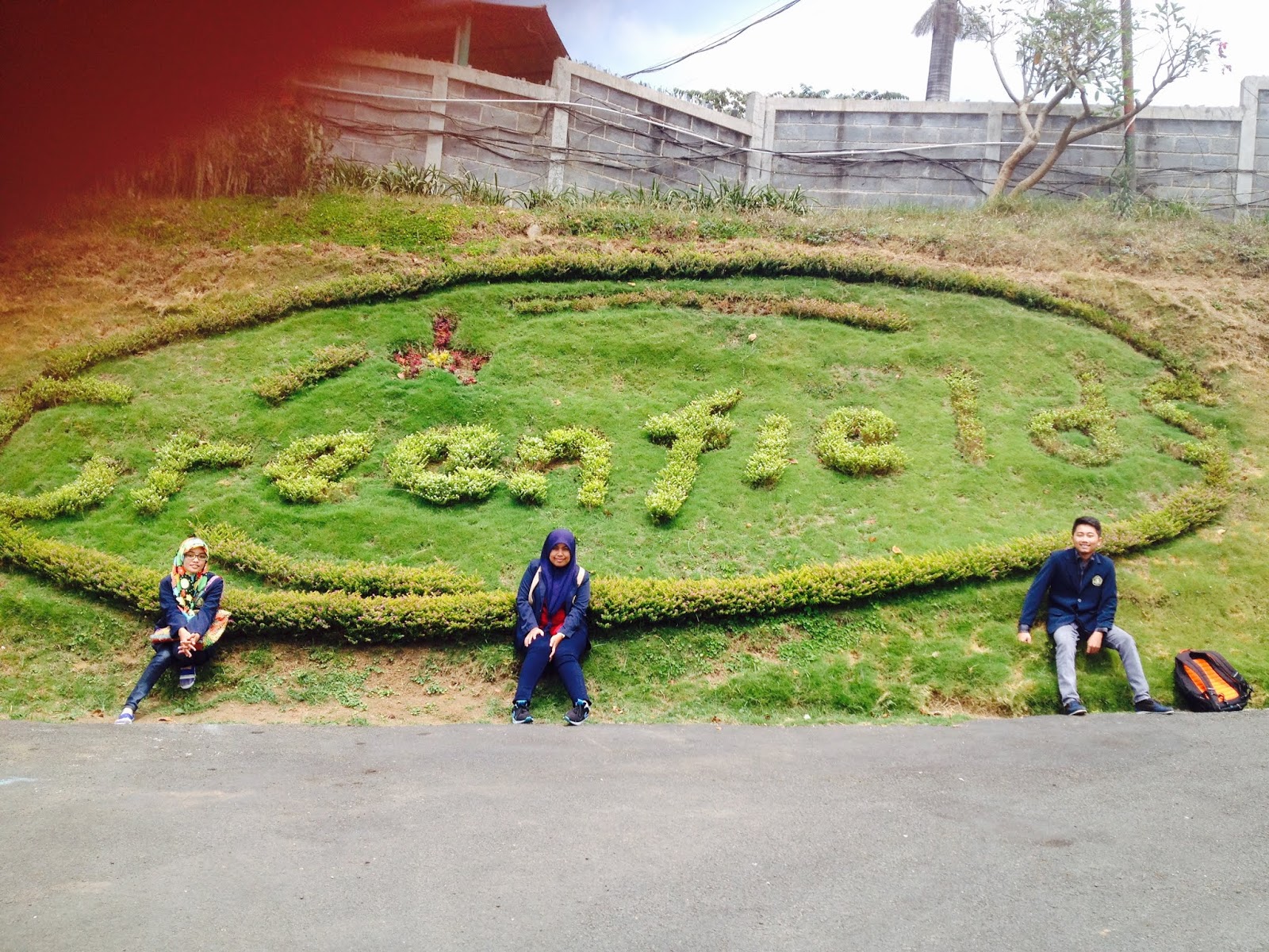 PKL / Magang Di PT Greenfields Indonesia (Chapter II) - Inu si Tropical Bee