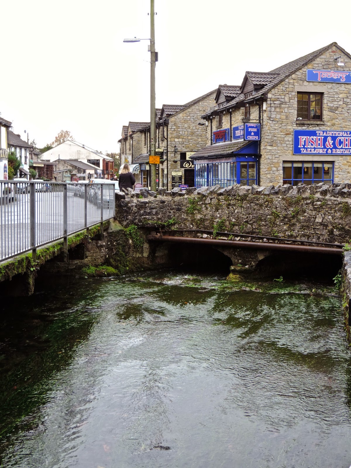 Of Golden Roses: All the Cheese | Cheddar, England