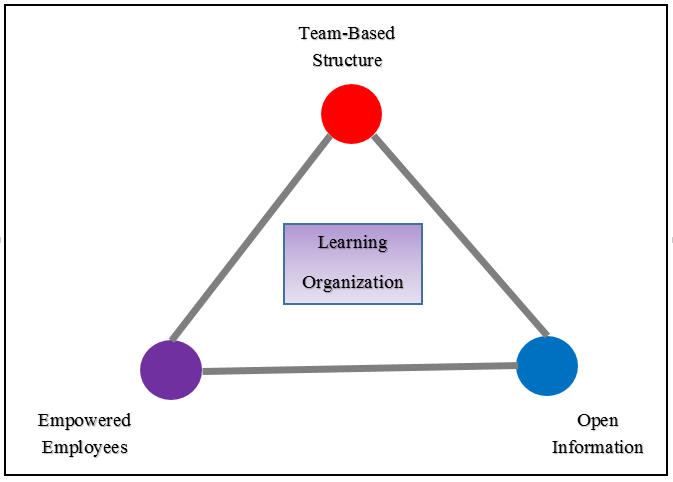 People and Organisations: Learning Organization