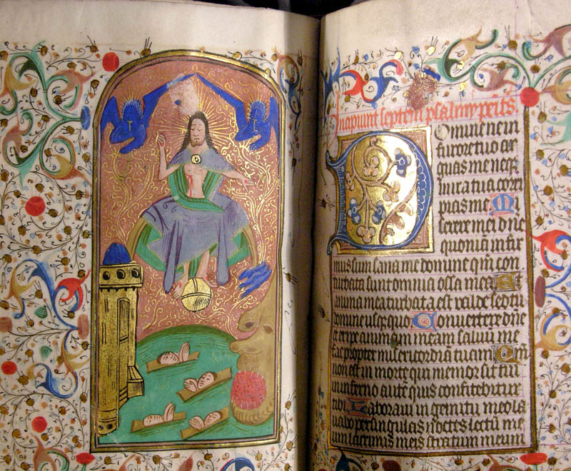 Studio and Garden: More Medieval Manuscripts at the Rauner Library