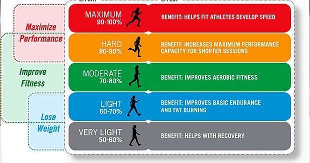 Kids Target Heart Rate Fitness Chart / Why Knowing Your Normal Resting ...
