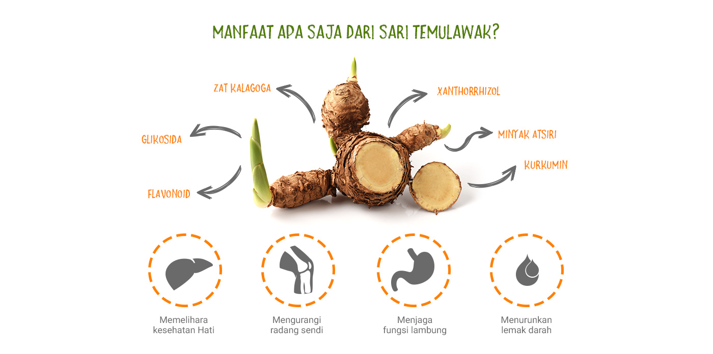 Dedy Sigid Setiawan : Gaya Hidup Sehat Untuk Sejuta Aktifitas Sehari-hari