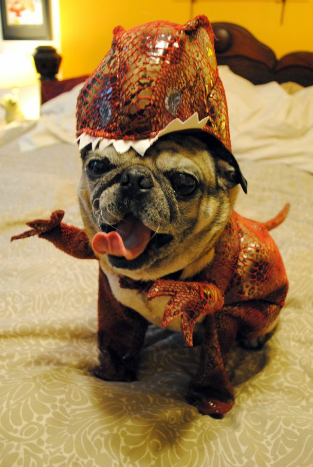 k n i t y o u r s e l f p r e t t y: DIY Candy Corn