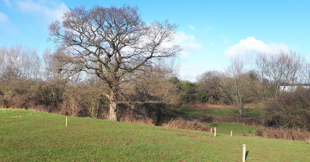 Focus on the Ladden-Frome area: Council car park extension approved