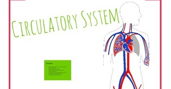 BioGeo Science Site: Circulatory System (Grades 6 to 12)