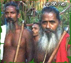 Vedda's Of Sri Lanka | Travel Sri Lanka