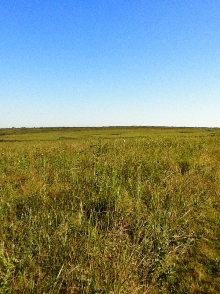 Life On The Tallgrass Prairie: Hiking Gayfeather Trail