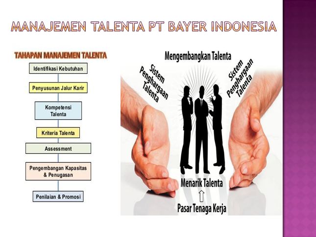 MSDM123.com: Manajemen Talenta PT Bayer Indonesia