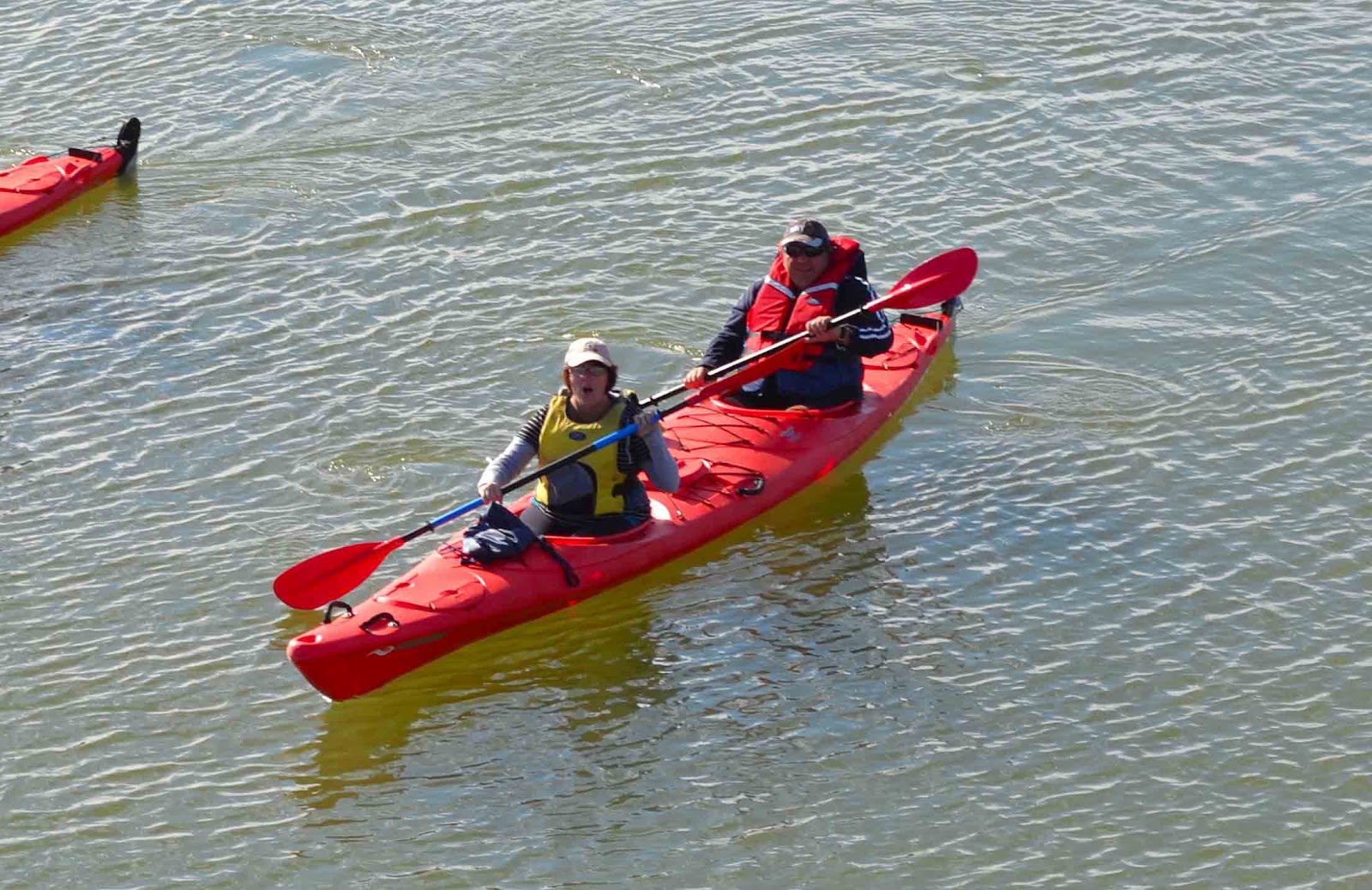 World Cruise 2012 Sydney to Sydney: Kayak adventure in BOI...