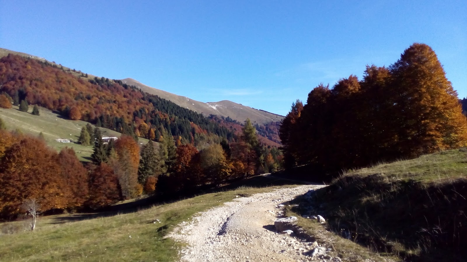 Su strade e sentieri: MONTE GRAPPA: giro delle malghe