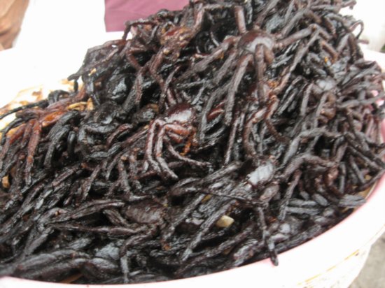 Labah-Labah Tarantula Merupakan Makanan Kegemaran di Kemboja