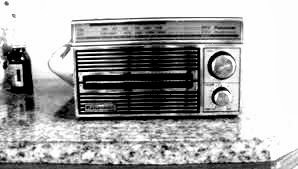 ~She Dazzle In Her Own Way~: Radio Buruk