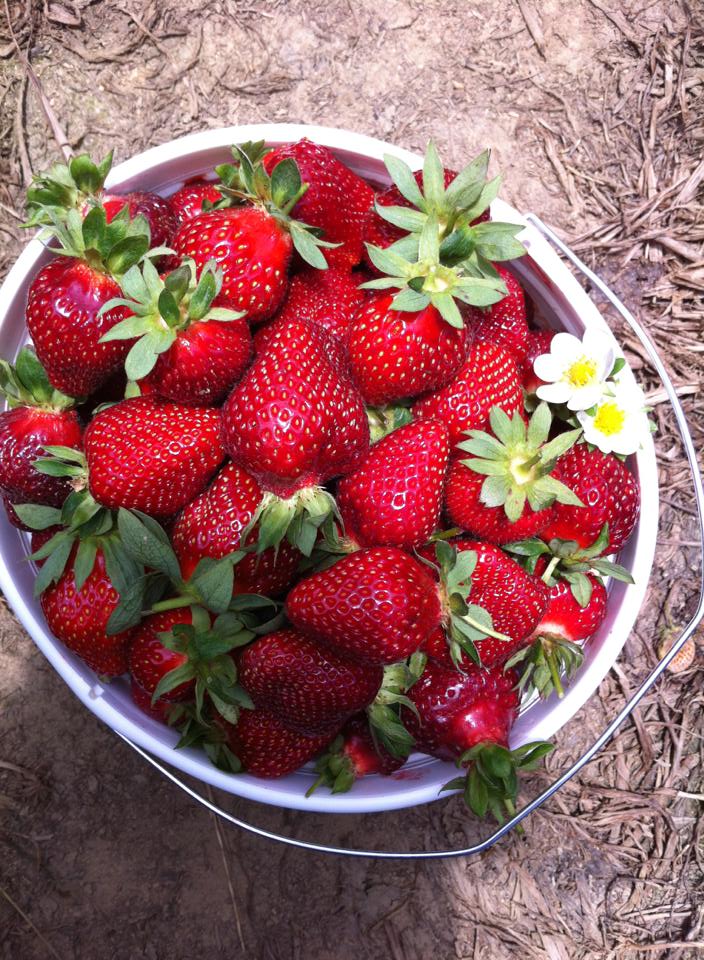 Real College Student of Atlanta: My clean eating inspiration