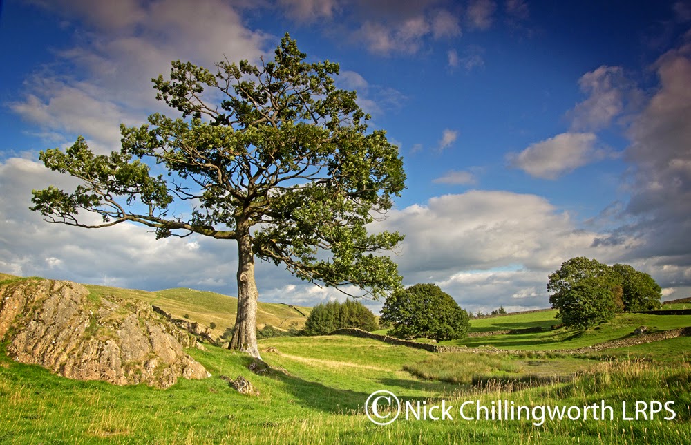 Nick Chillingworth LRPS - Photography