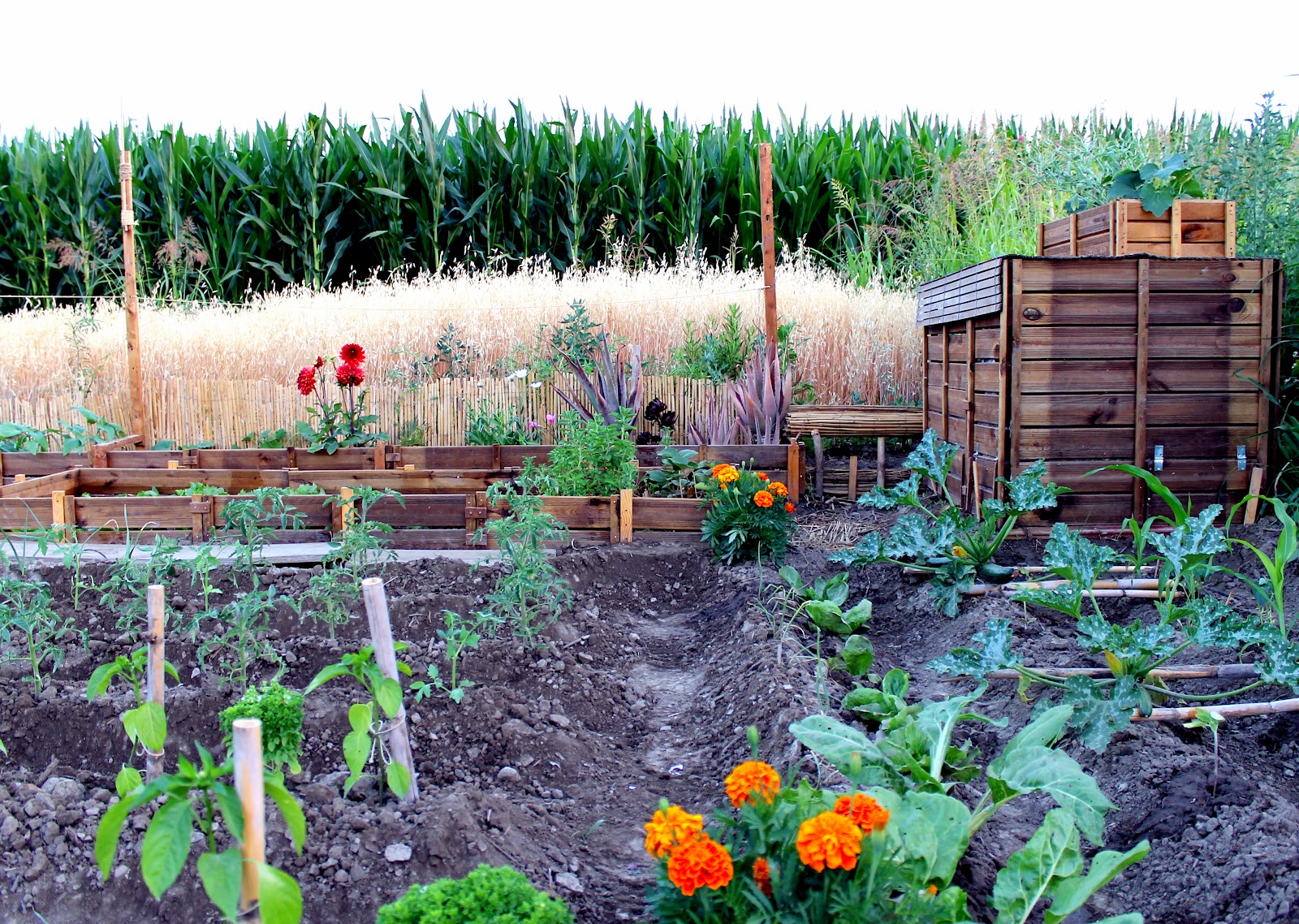 Los Huertos Son El Buen Vivir Para La Comunidad.