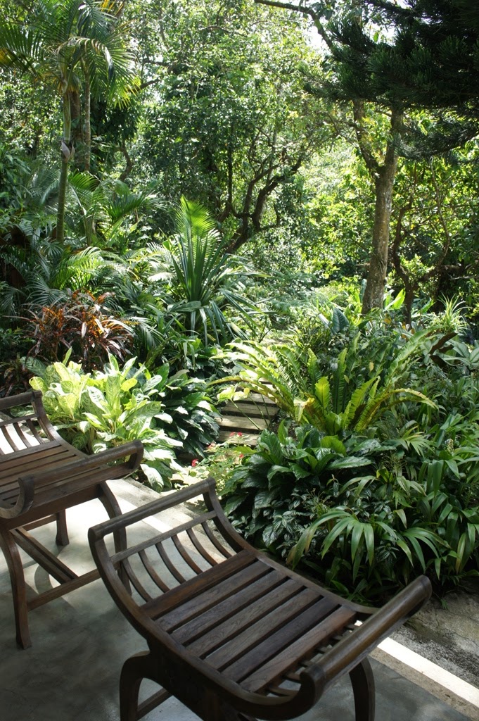 OUR PHILIPPINE TREES: The Naturally Native View