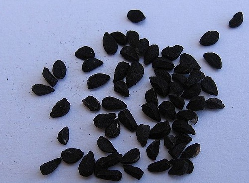 7 makanan hitam yang berkhasiat - Unikversiti