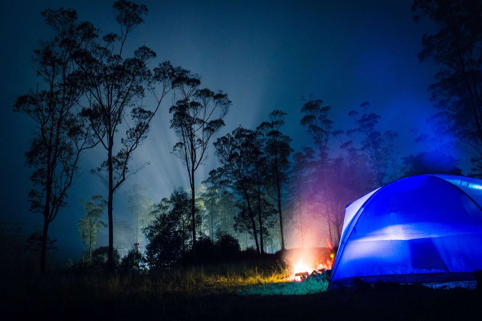 Lokasi dan Rute Menuju Wisata Ranca Upas Ciwidey - Wisatamy