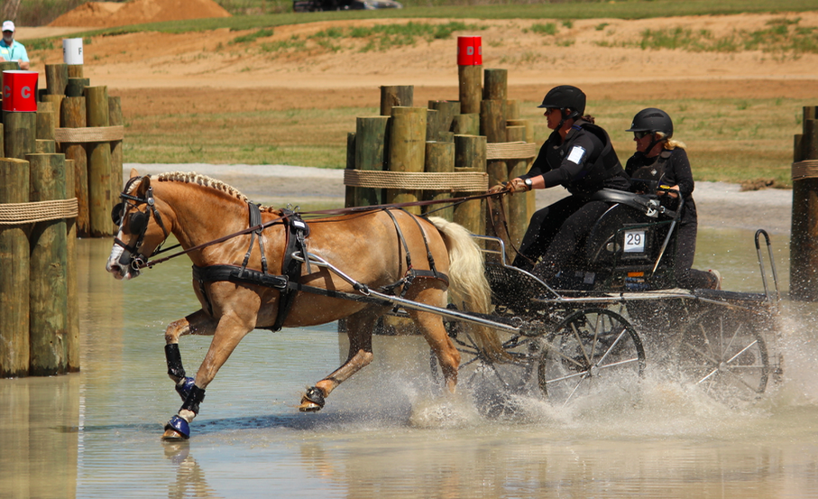 Riding to B: Weekend Fun at the WEG Test Event Combined Driving Edition