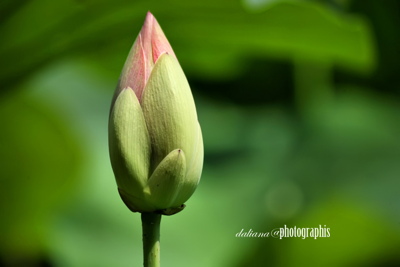 Photographis: July 2013