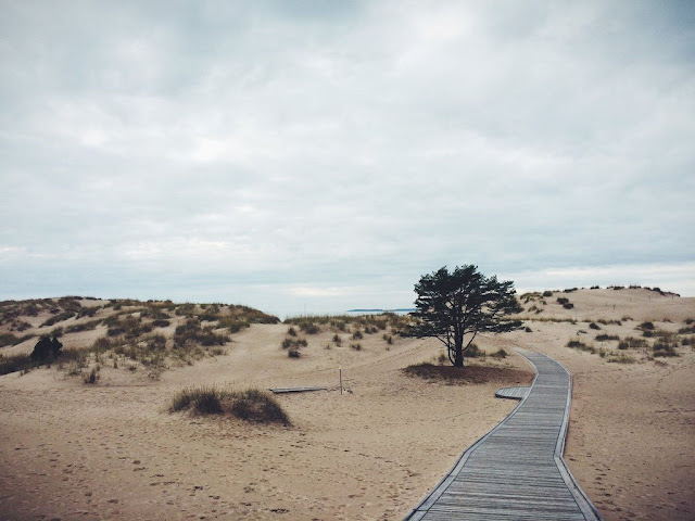 Yyteri plaža ~ F I N S K A