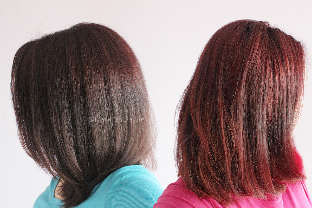 artego it's color 5.11 (5AA) - The Wolf Palace