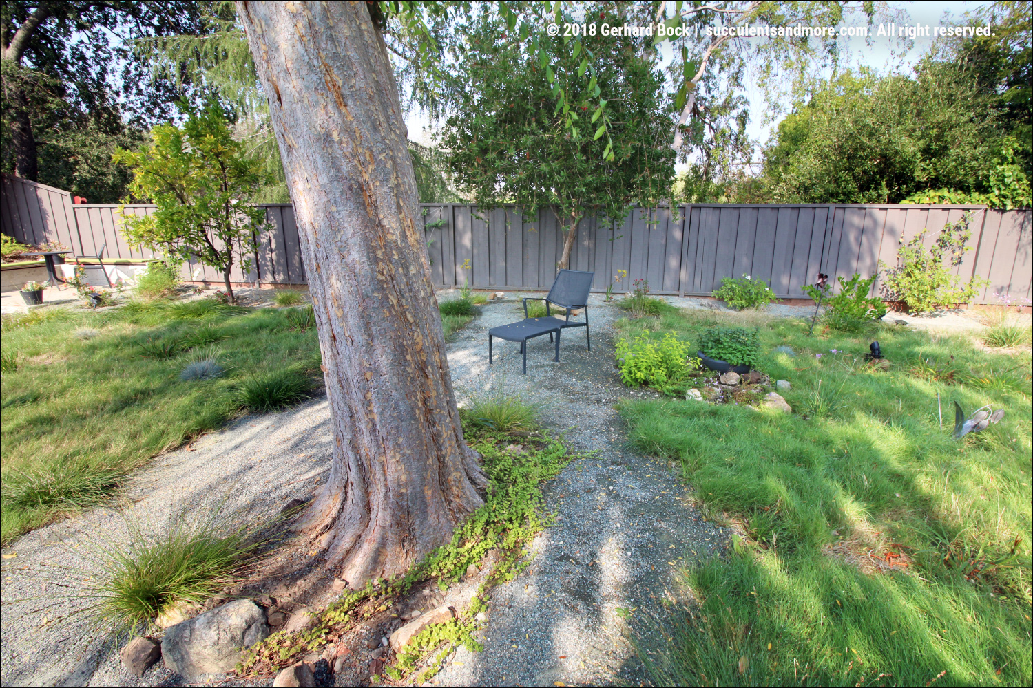 Two Walnut Creek neighbors embrace water-wise landscaping