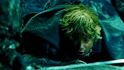 The League of Literary Gentlemen: Samwise the Stouthearted, Part One ...