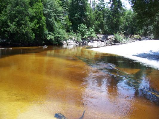 Cottage by the Sea : New Jersey vs Florida