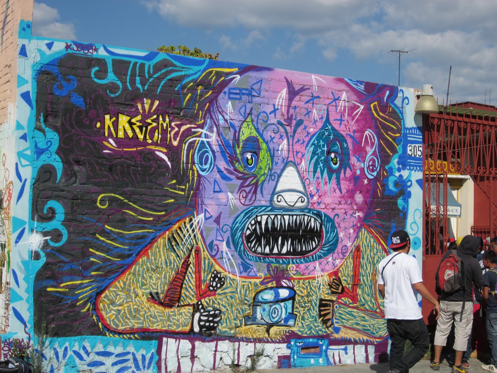 karen carter's adventures: Oaxaca Graffiti