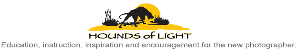 Hounds Of Light