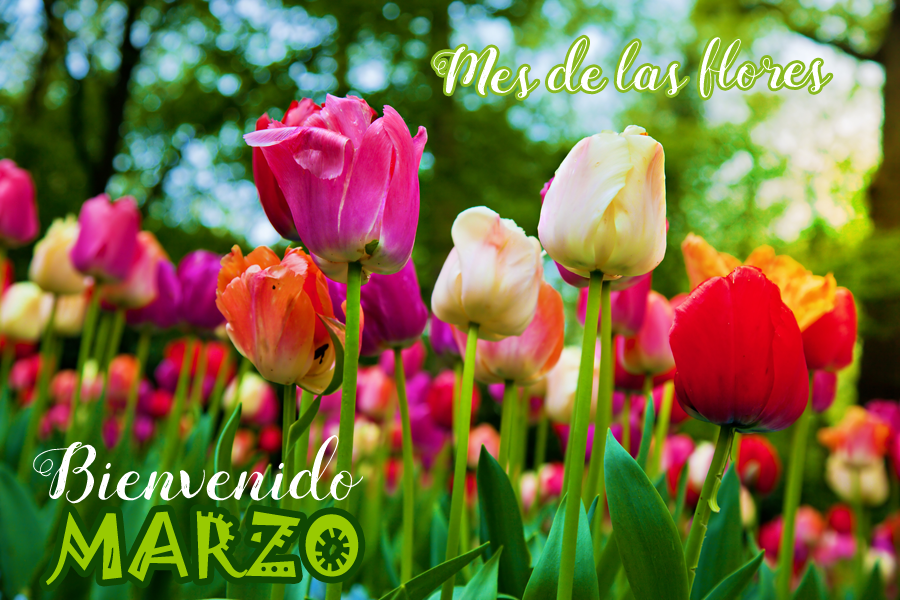 Banco de Imágenes Gratis: Bienvenido Marzo !!! Adiós febrero, gracias ...