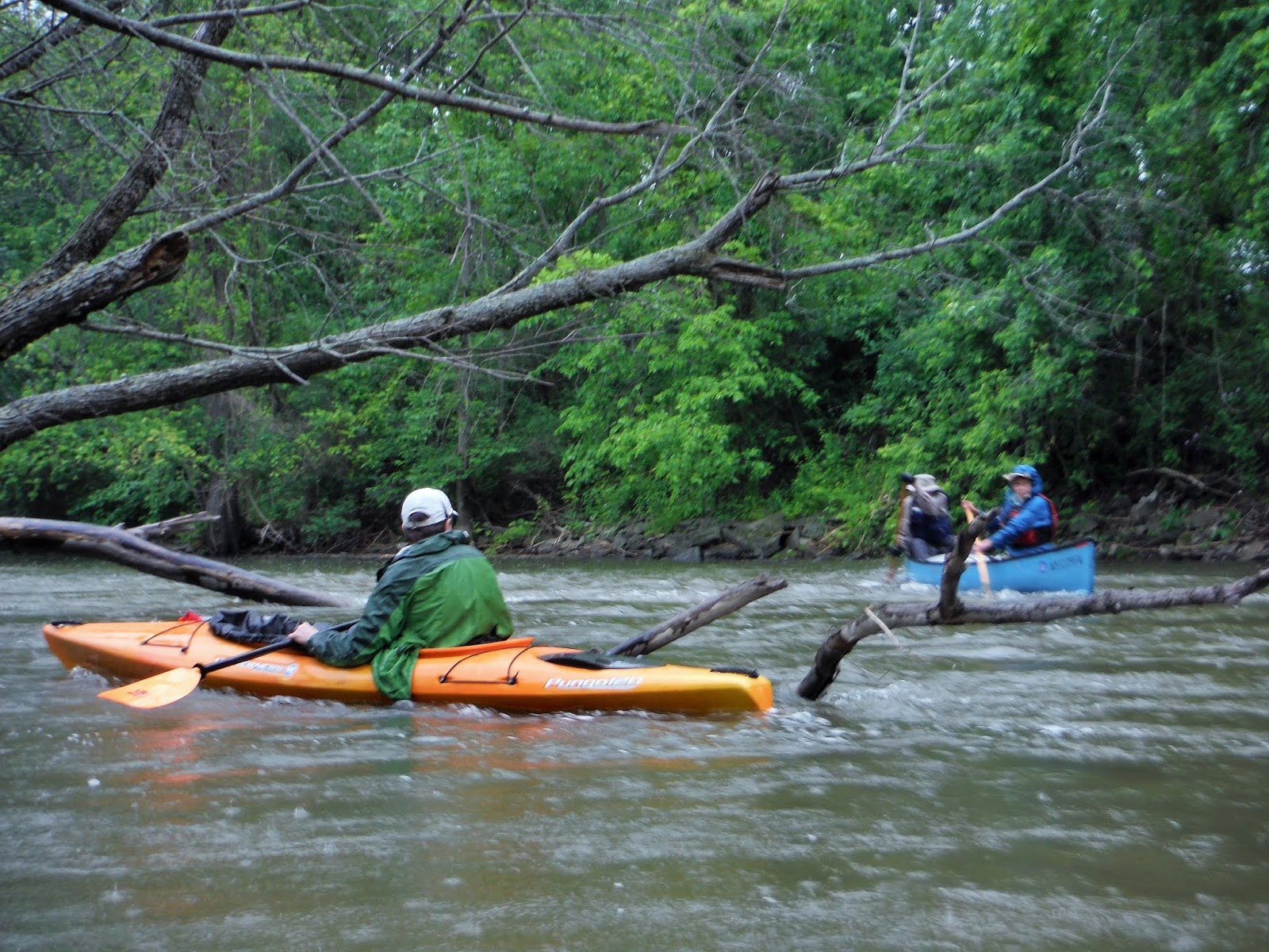 CHENANGO RIVER paddling.