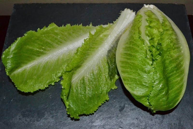 Yvonne & Sandra: BEHR AG - Frisches Gemüse, direkt vom Feld