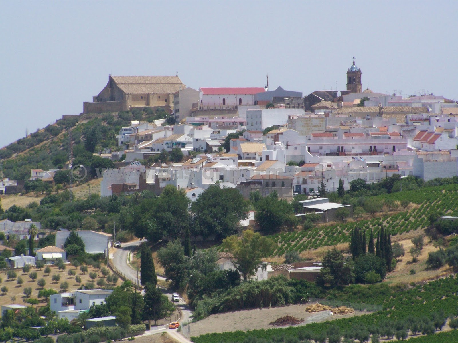 PASIÓN POR MVNDA: Montilla, una ciudad de buena comida y buen vino