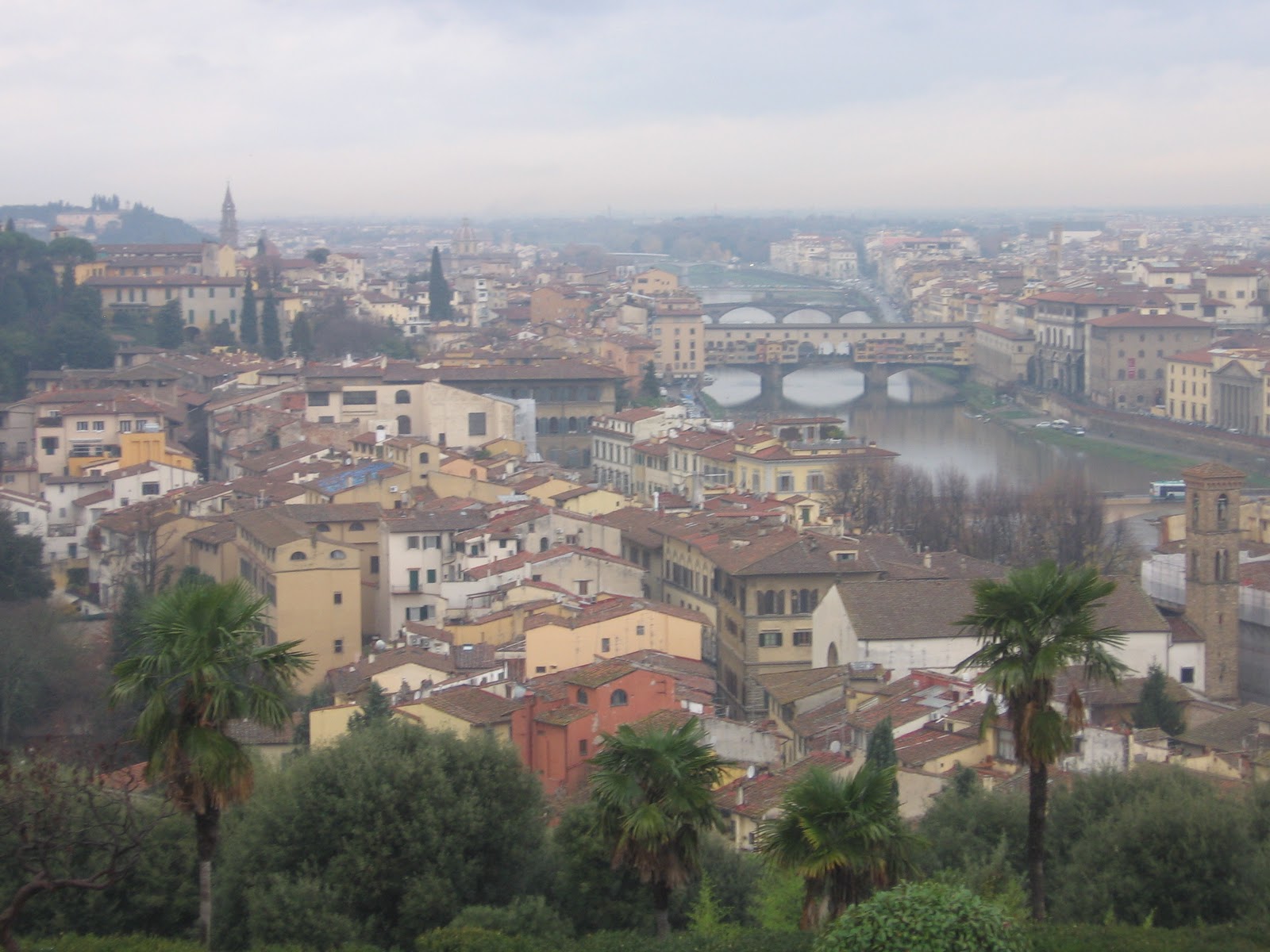 I Brake for Wildflowers!: The Pines of Rome