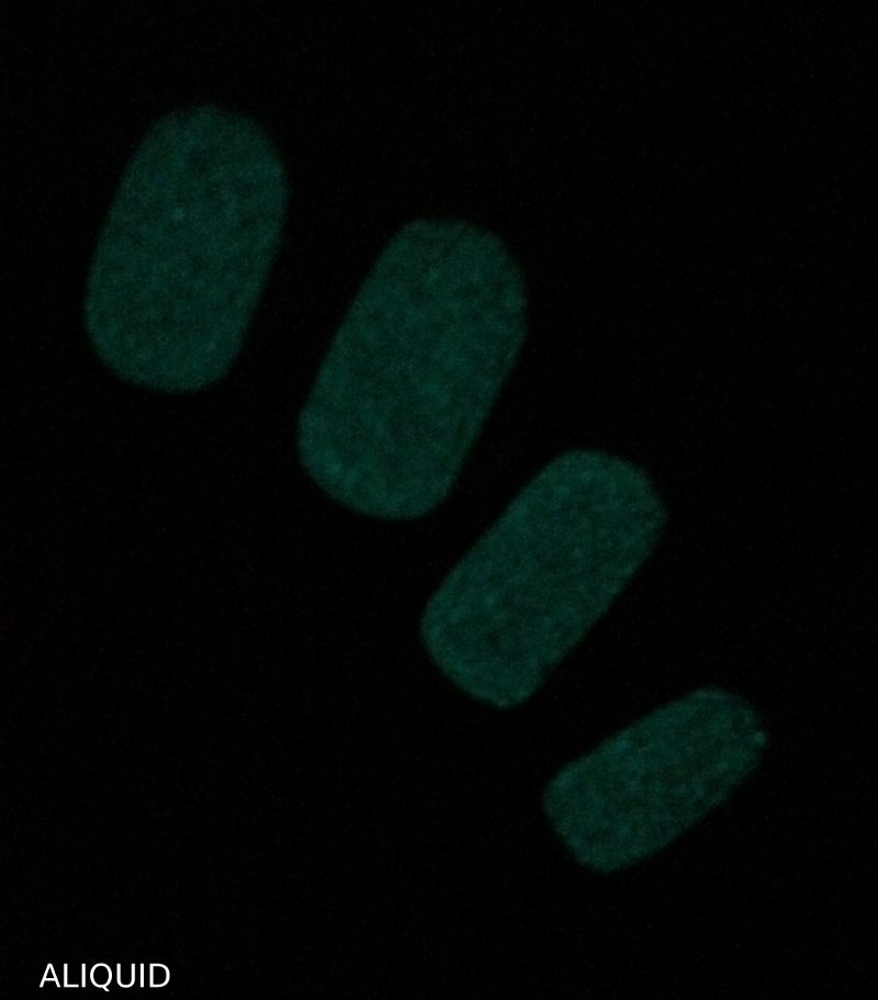 ALIQUID: May 2014