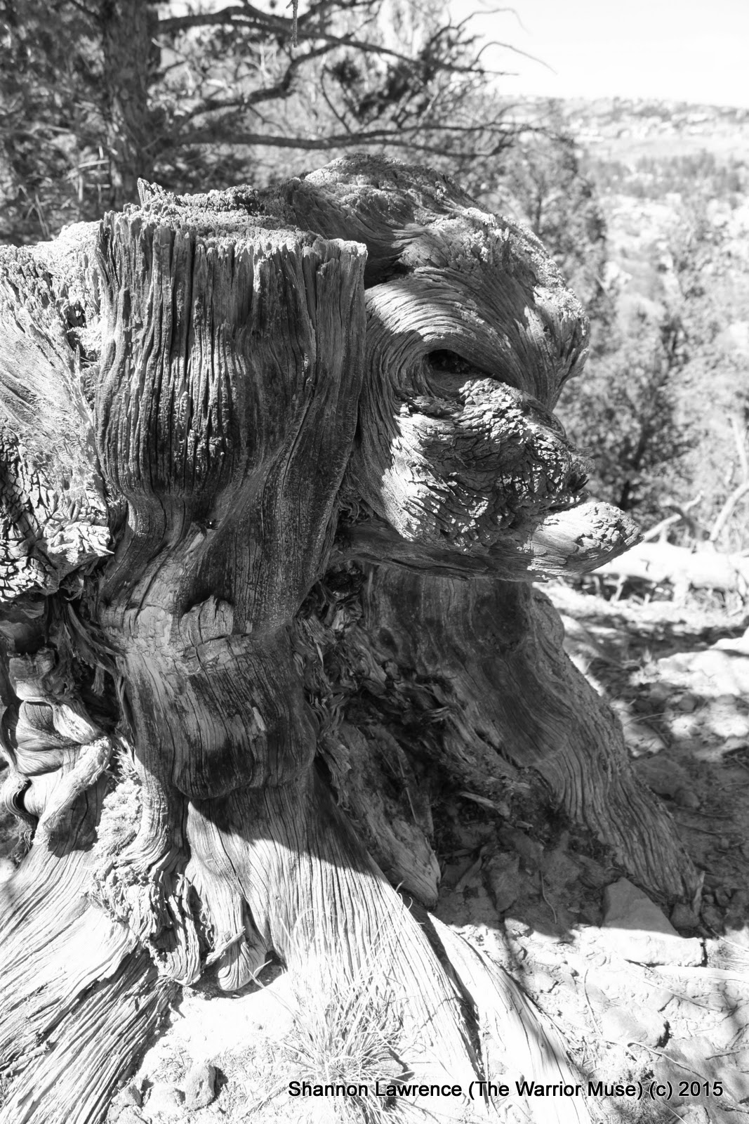 The Warrior Muse: Stumpy Stumperson & Links