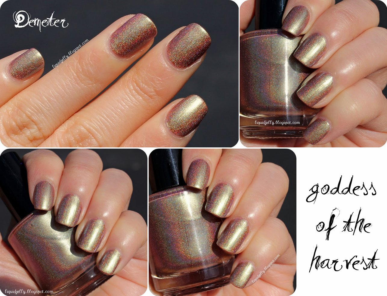 Liquid Jelly: Pretty Jelly The Goddess Collection
