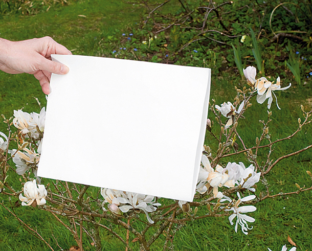 How to set Custom White Balance for Perfect Colors - Mersad Donko ...