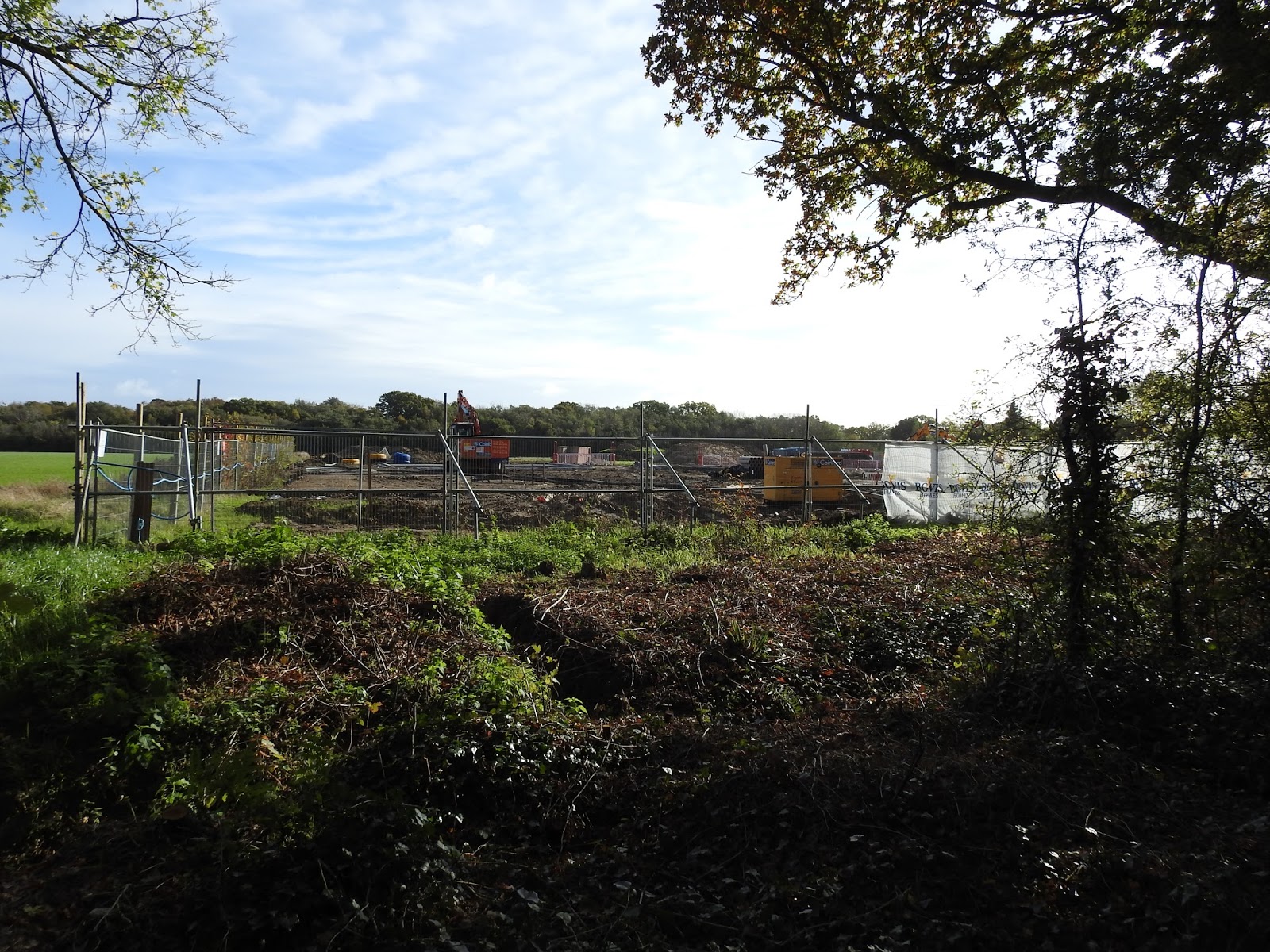 Ians Blog: THIRTY PICTURES: Bovis homes development in Rusper Road on ...