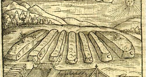 Firearms History, Technology & Development: The History of Saltpeter - IV