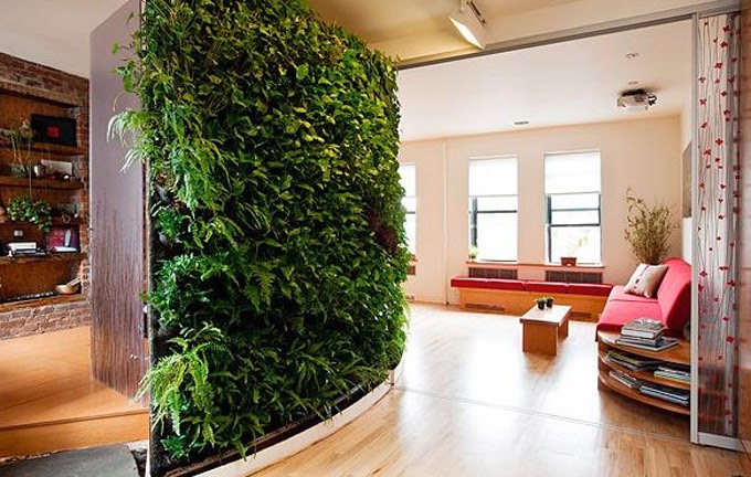 Tendência mundial: Verde em destaque subindo pelas paredes - Jardim Design