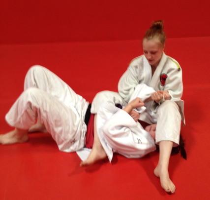 The Business/Judo of Life: Arm Lock to Pin Combination: A Basic Matwork ...