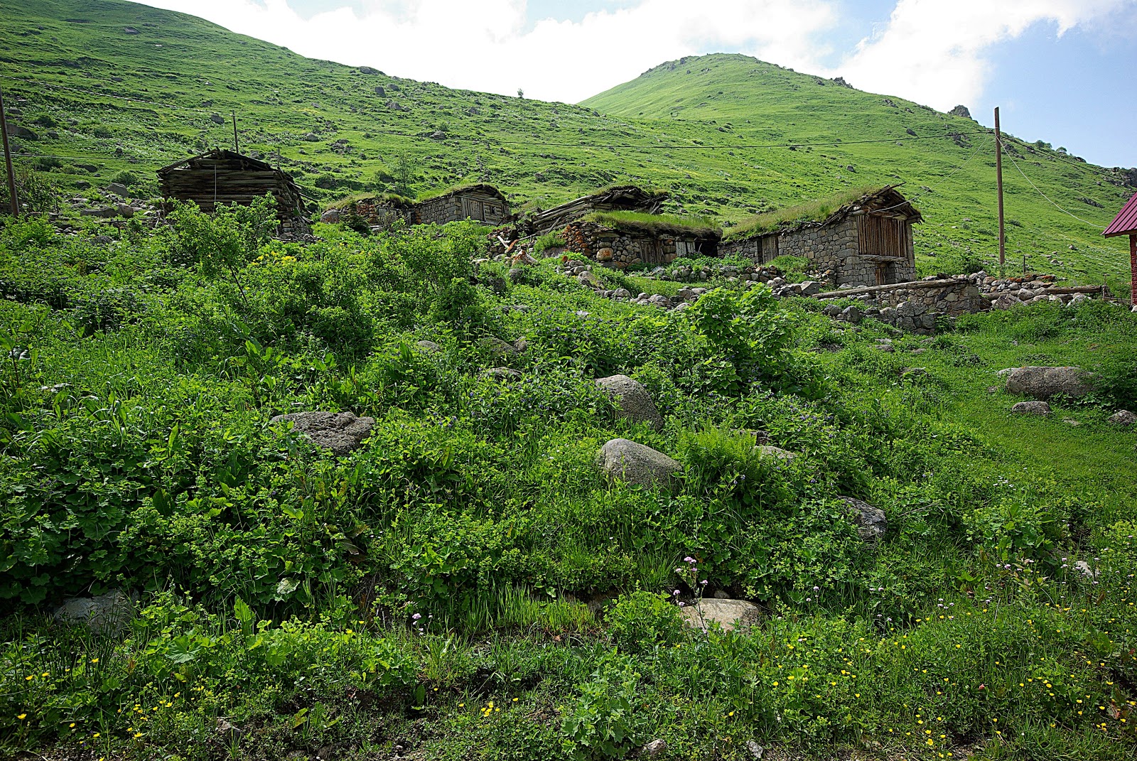 İntor Yaylası: Rize Yaylaları